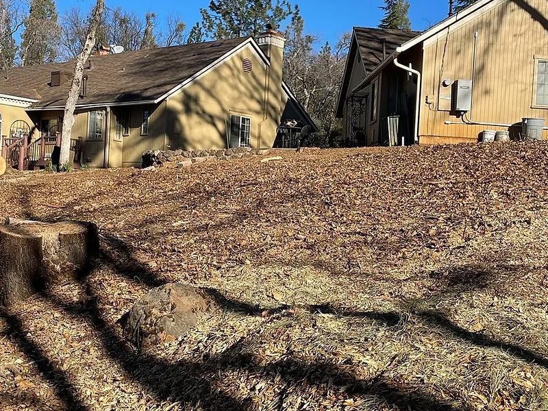 Land Management Services | Hargo's Land Management