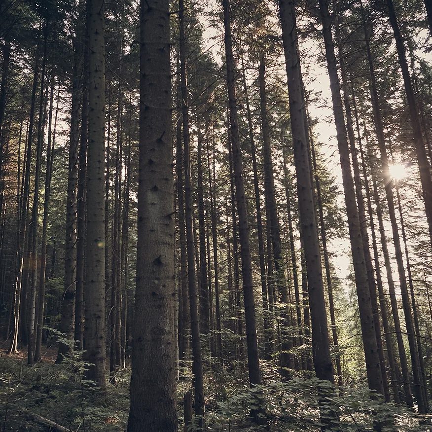 About | Hargo's Land Management