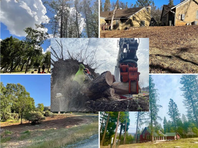 Tree Service Provider, Defensible Space, Land Clearing | Placerville ...